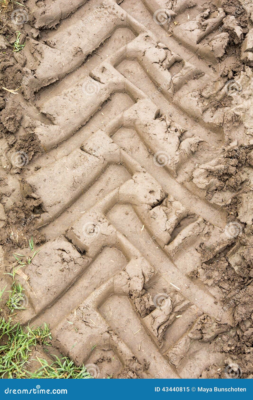 Tyre tracks in the mud stock image. Image of outdoor - 43440815