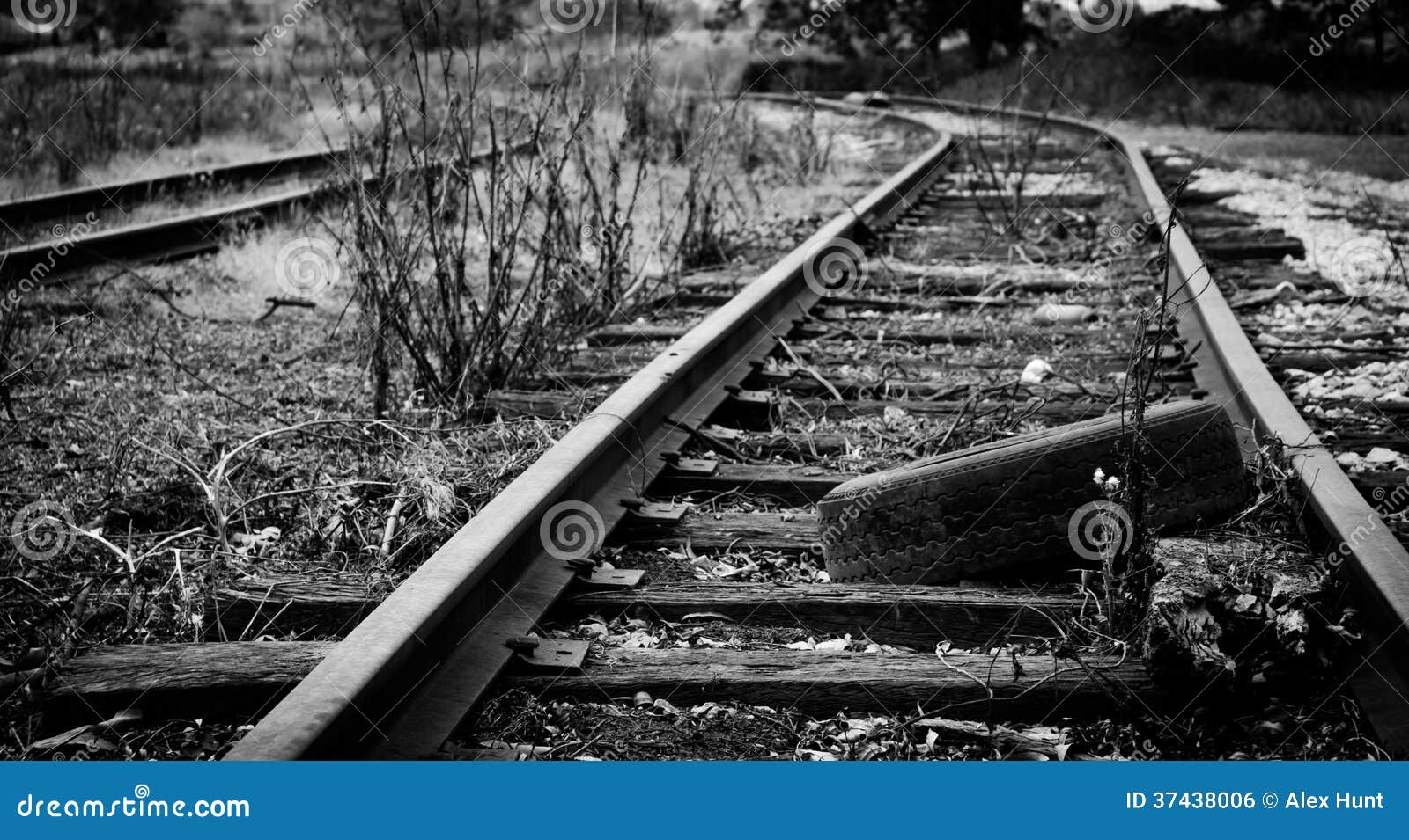 Tyre on Tracks stock photo. Image of tyre, grass, dirt - 37438006