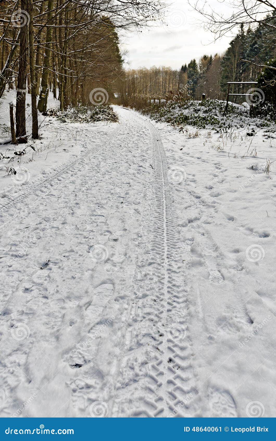Tyre Tracks on Snow-covered Forest Road Stock Image - Image of skid ...