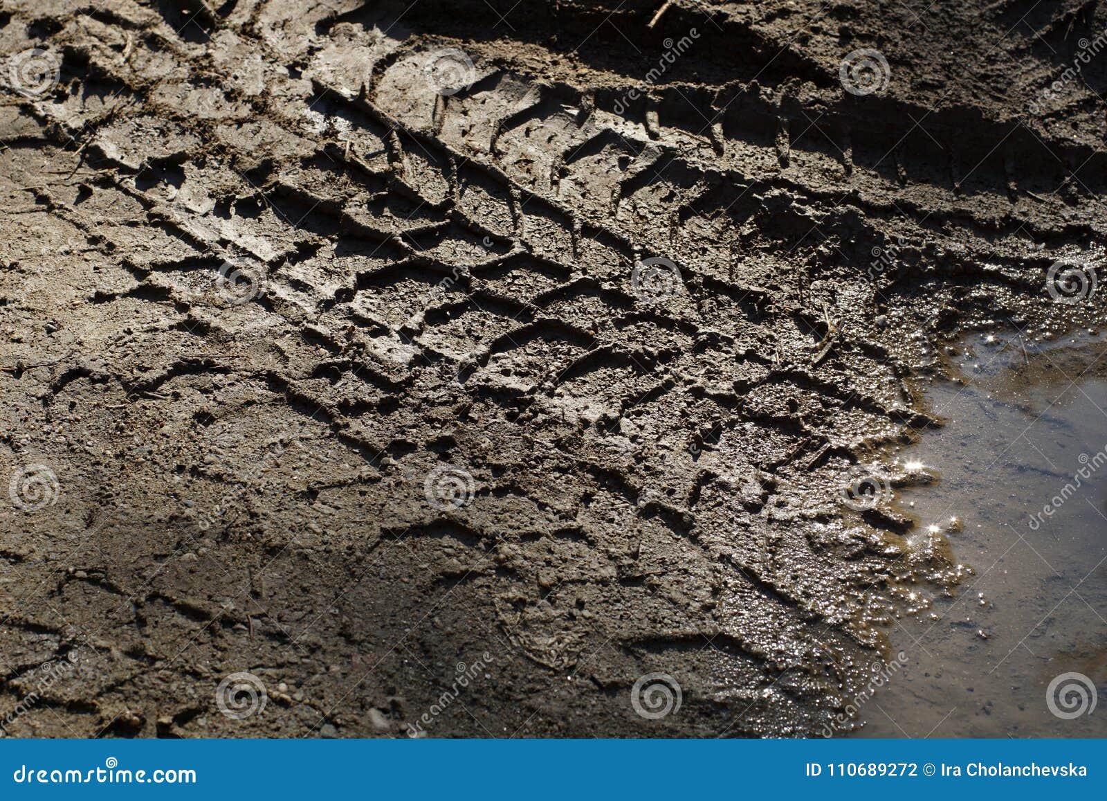 Tyre tread pattern in mud stock photo. Image of cracked - 110689272