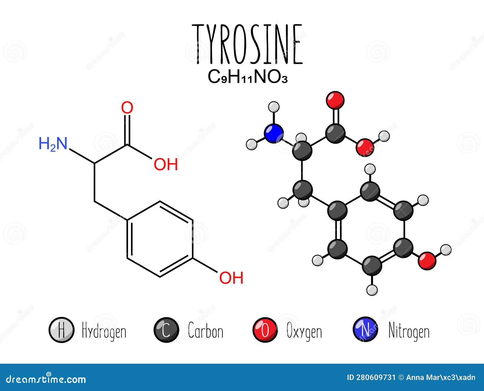 Tyrosine Or L-tyrosine, Tyr, Y, Amino Acid Molecule. Skeletal Formula ...