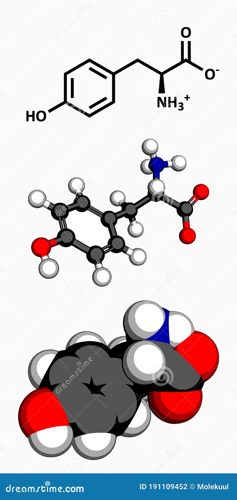 Tyramine Molecule, Molecular Structures, Trace Amine, 3d Model ...