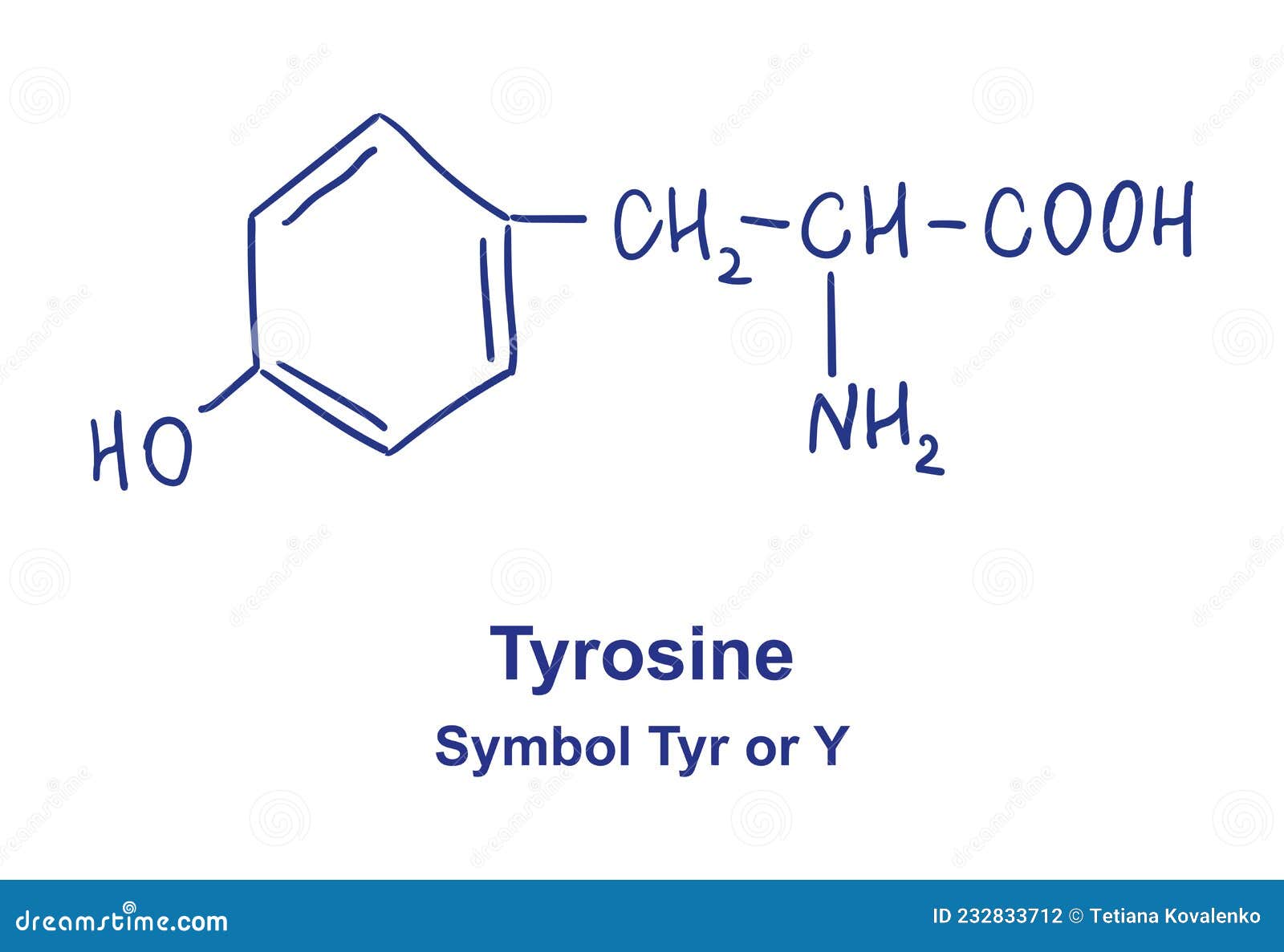 Tyrosine Chemical Formula. Tyrosine Structural Chemical Formula ...