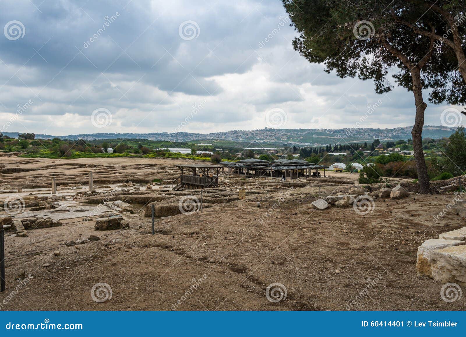 Tzipori archeological site stock image. Image of house - 60414401
