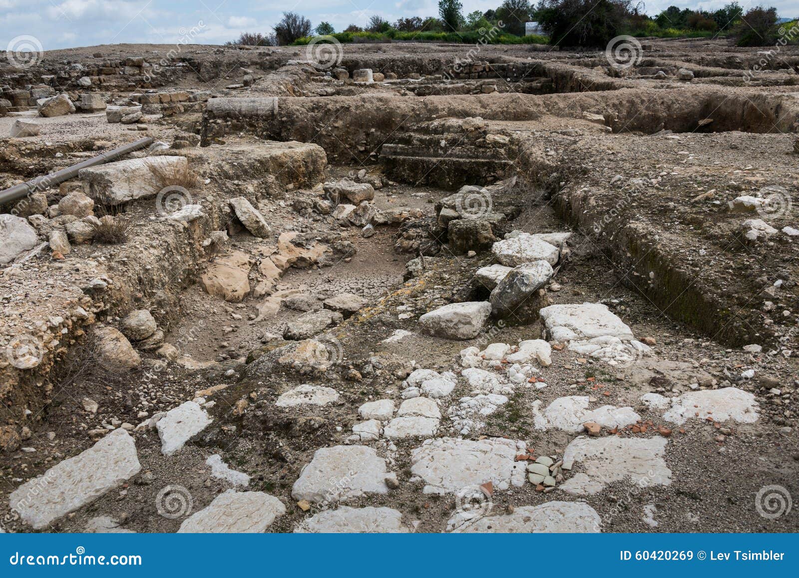 Tzipori archeological site stock image. Image of house - 60420269