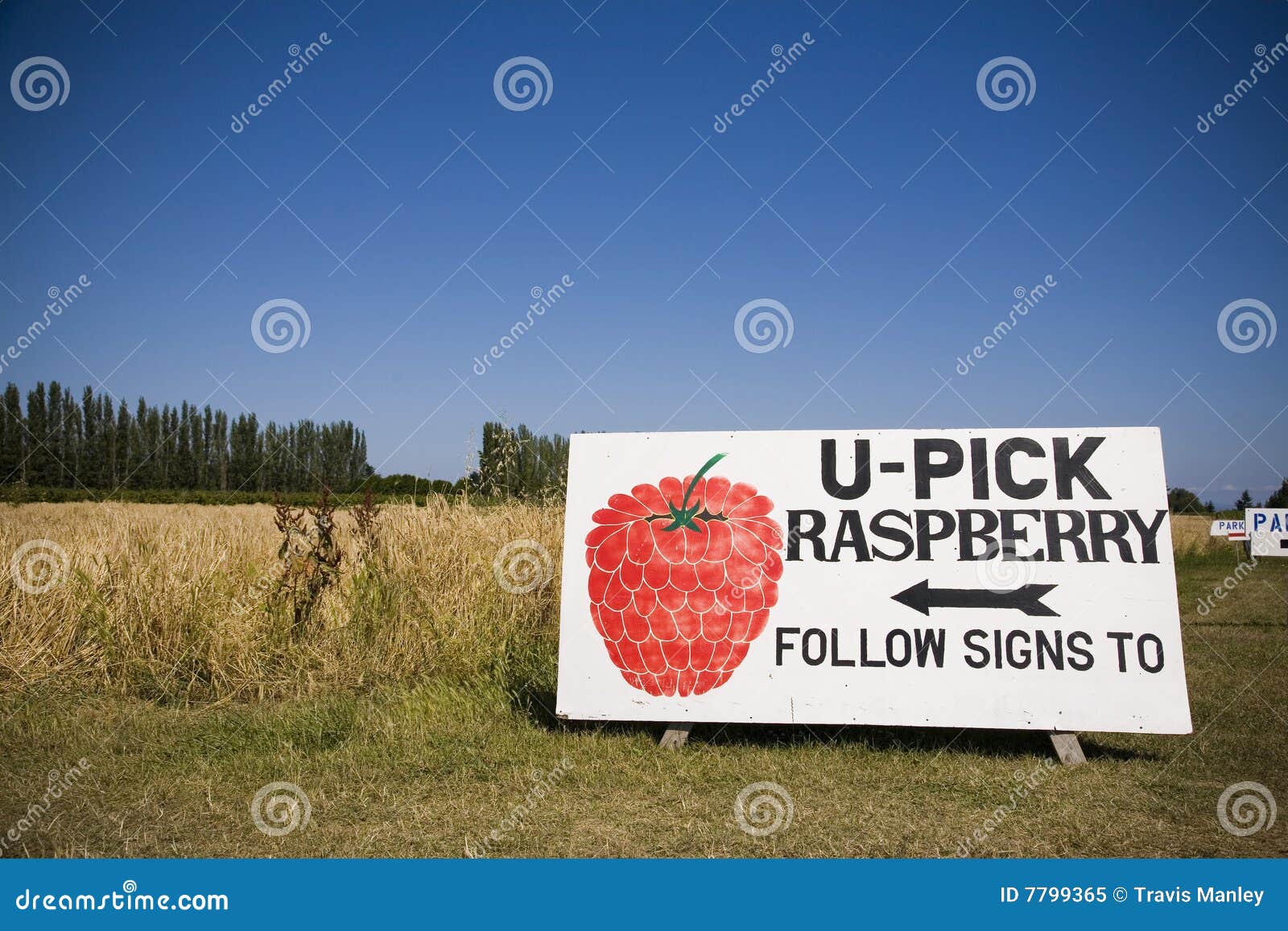 U Pick Rasberry Sign stock image. Image of organic, landscape - 7799365