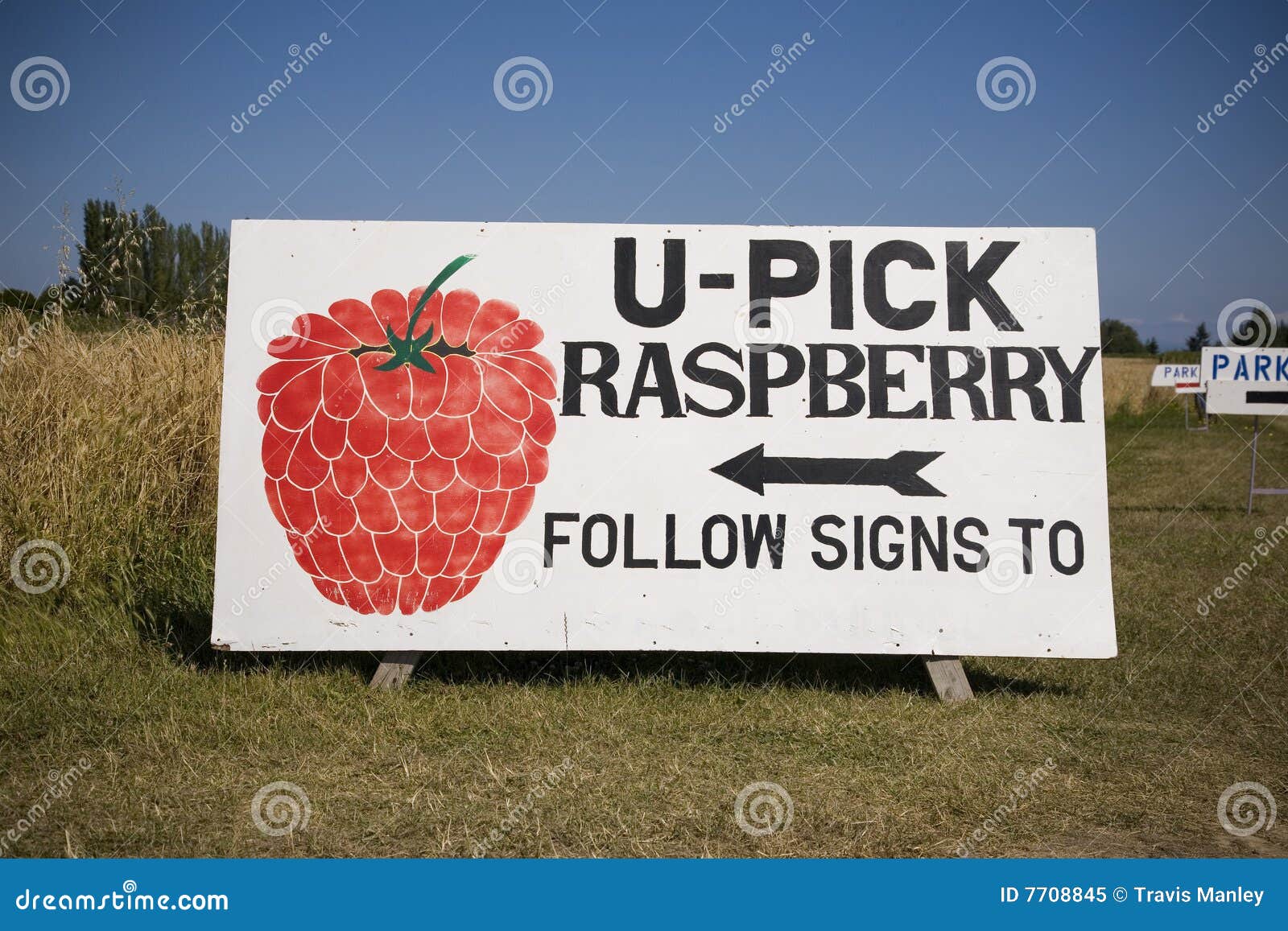 U Pick Raspberry Sign stock image. Image of sunny, farm - 7708845