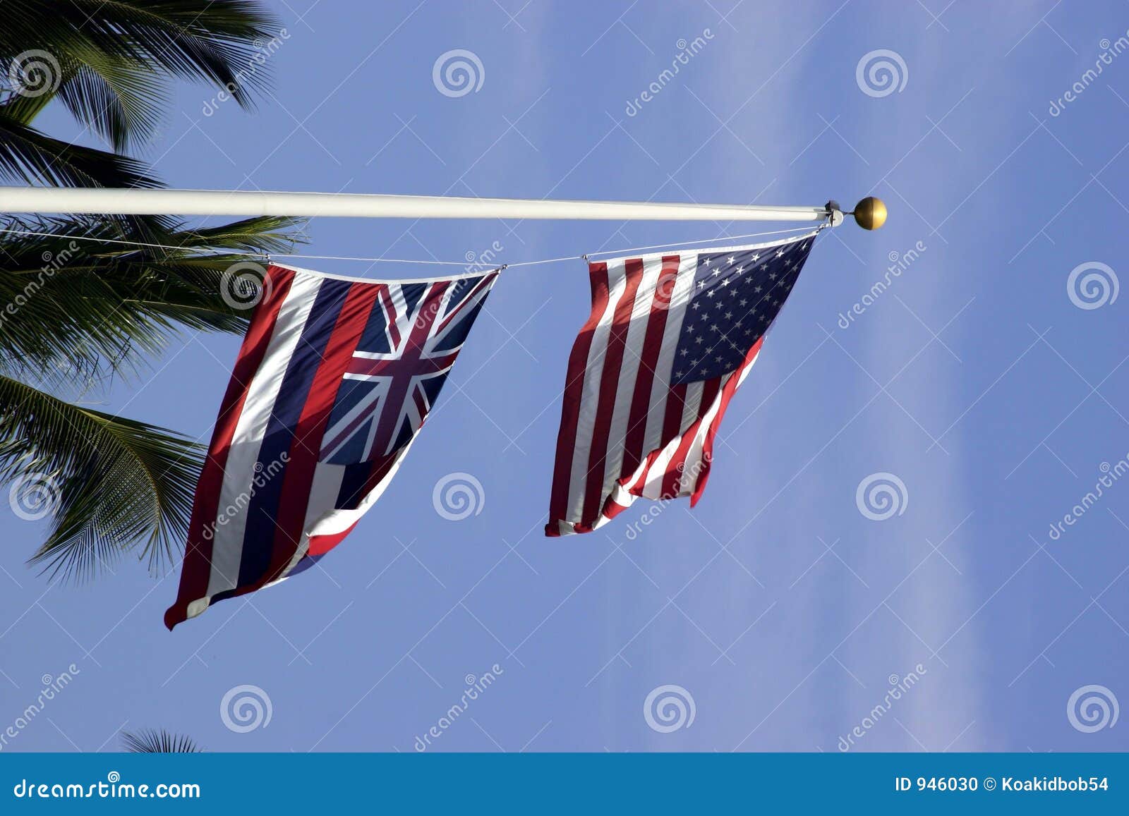 U.S. and Hawaii State Flags Stock Photo - Image of united, flagpole: 946030