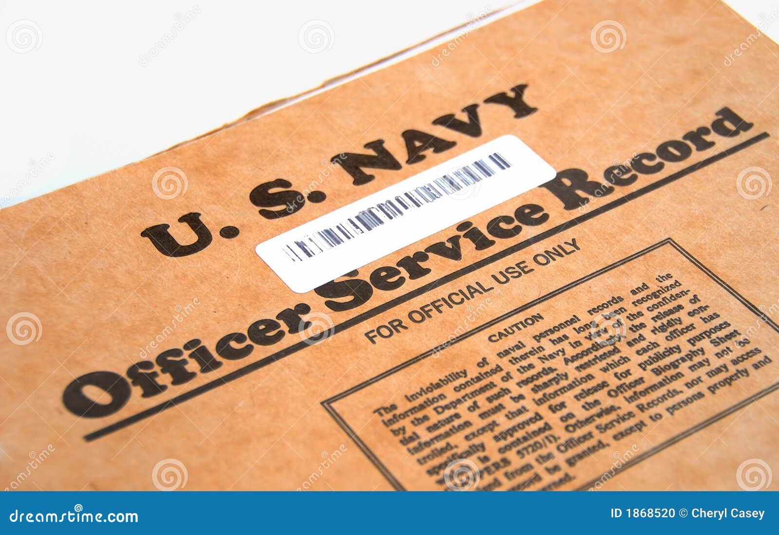 U. S. Officer Service Record Stock Photo - Image of award, dury: 1868520