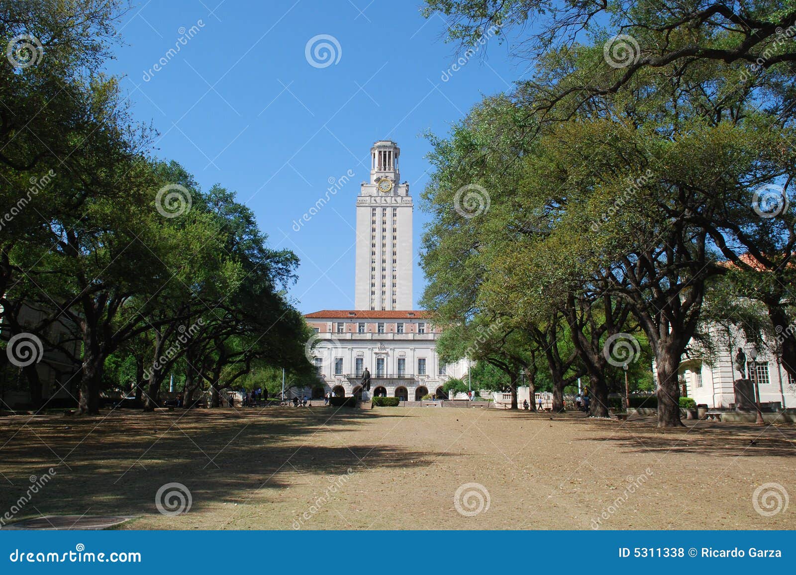 U.T. tower editorial stock photo. Image of gold, academic - 5311338