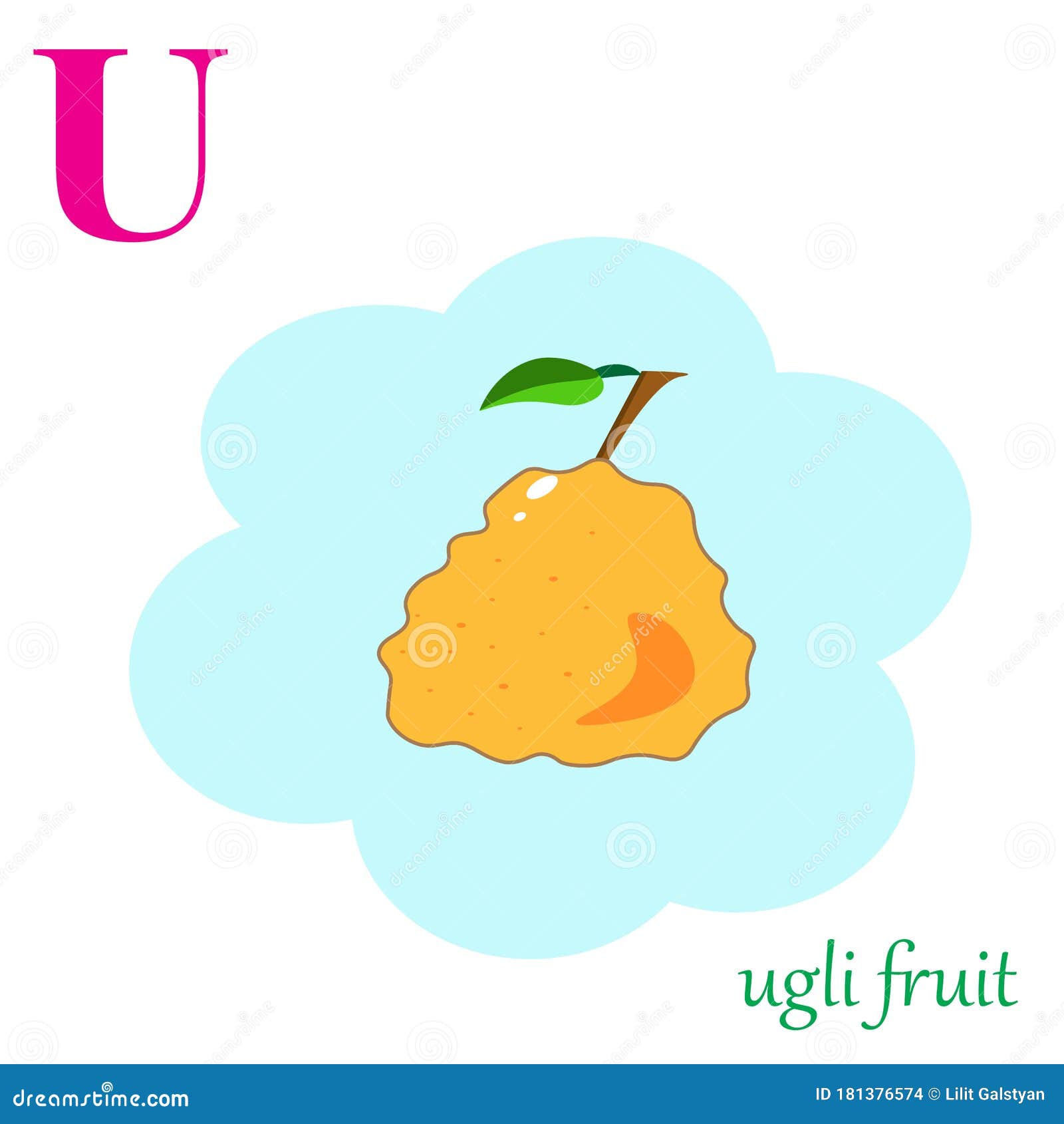 U is for Ugli Fruit Illustration Alphabet Stock Vector - Illustration ...