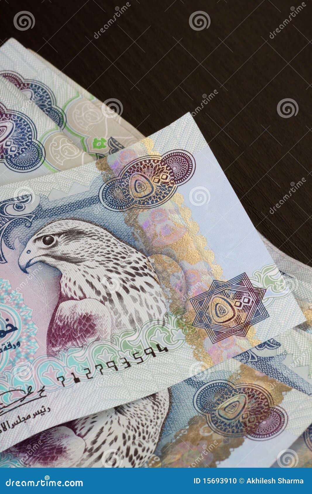 UAE Currency Dirhams Closeup Note Stock Photo - Image of bird, detail ...