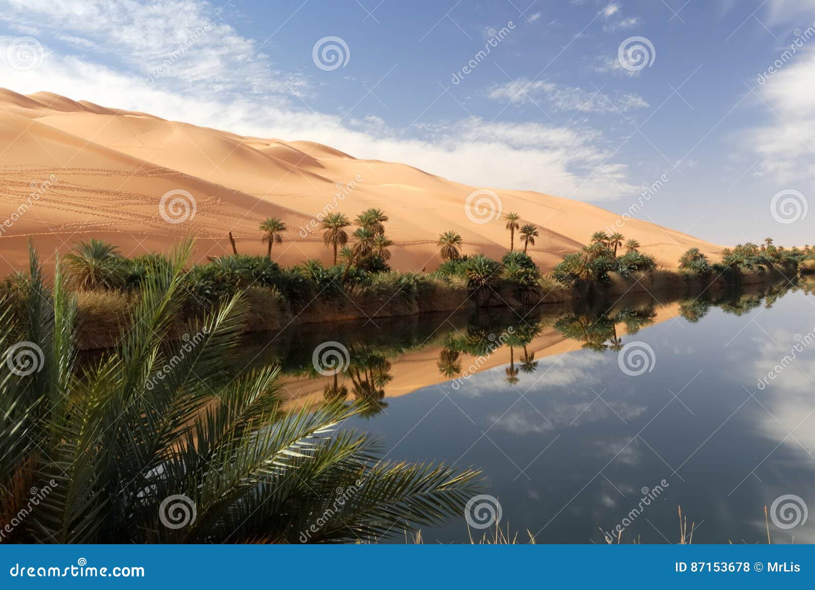 Ubari Oasi, Fezzan, Libia fotografia stock. Immagine di africa - 87153678