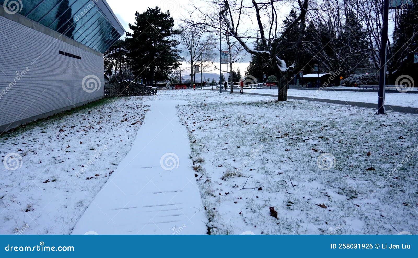 UBC University Campus on a Snowy Day, Dec 2021 Stock Footage - Video of ...
