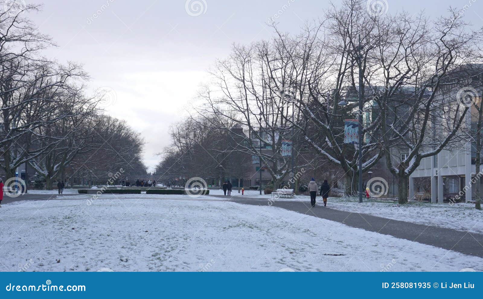 UBC University Campus on a Snowy Day, Dec 2021 Stock Video - Video of ...