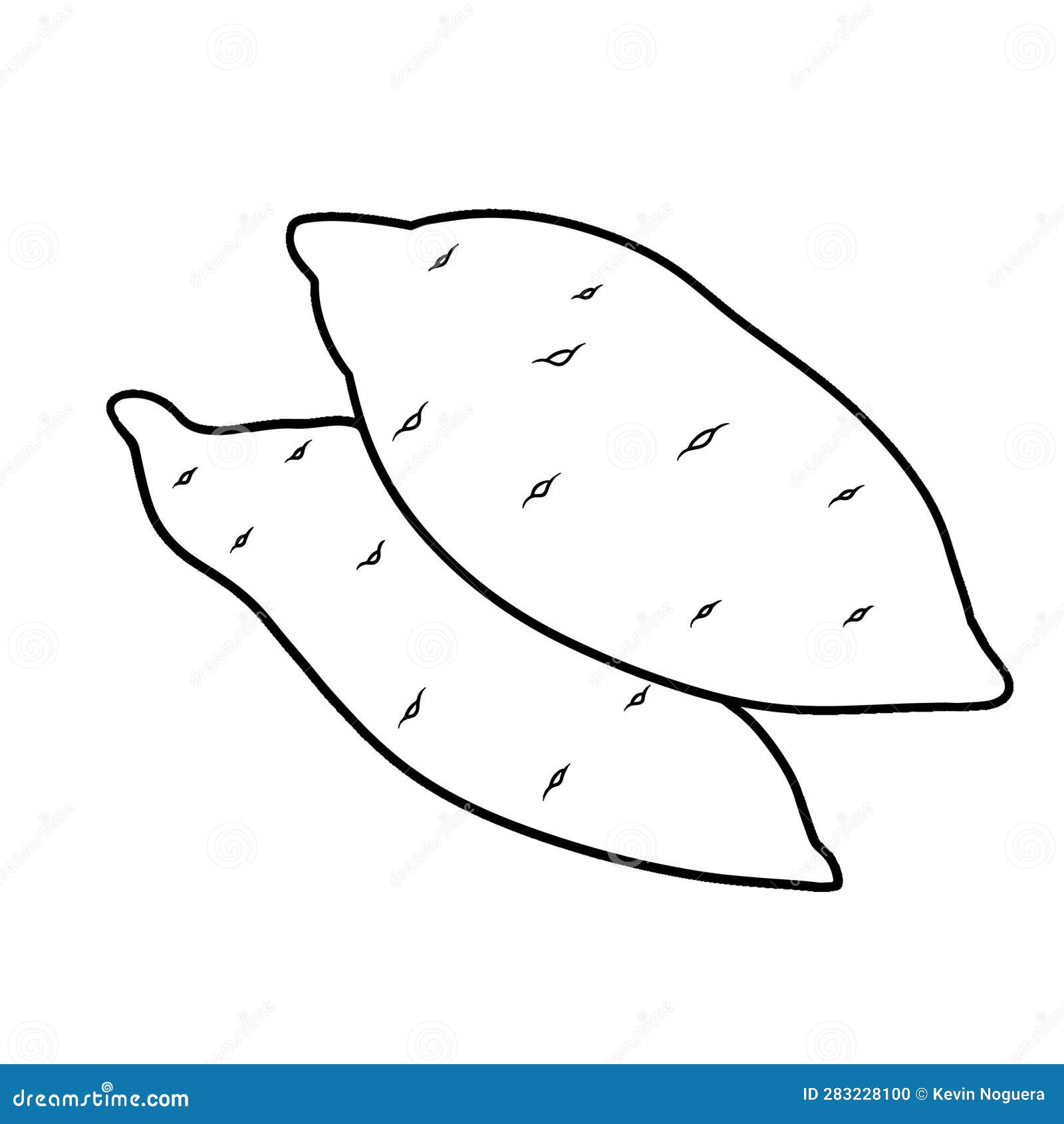 Ube Hand Drawn Coloring Book Illustration Stock Vector - Illustration ...