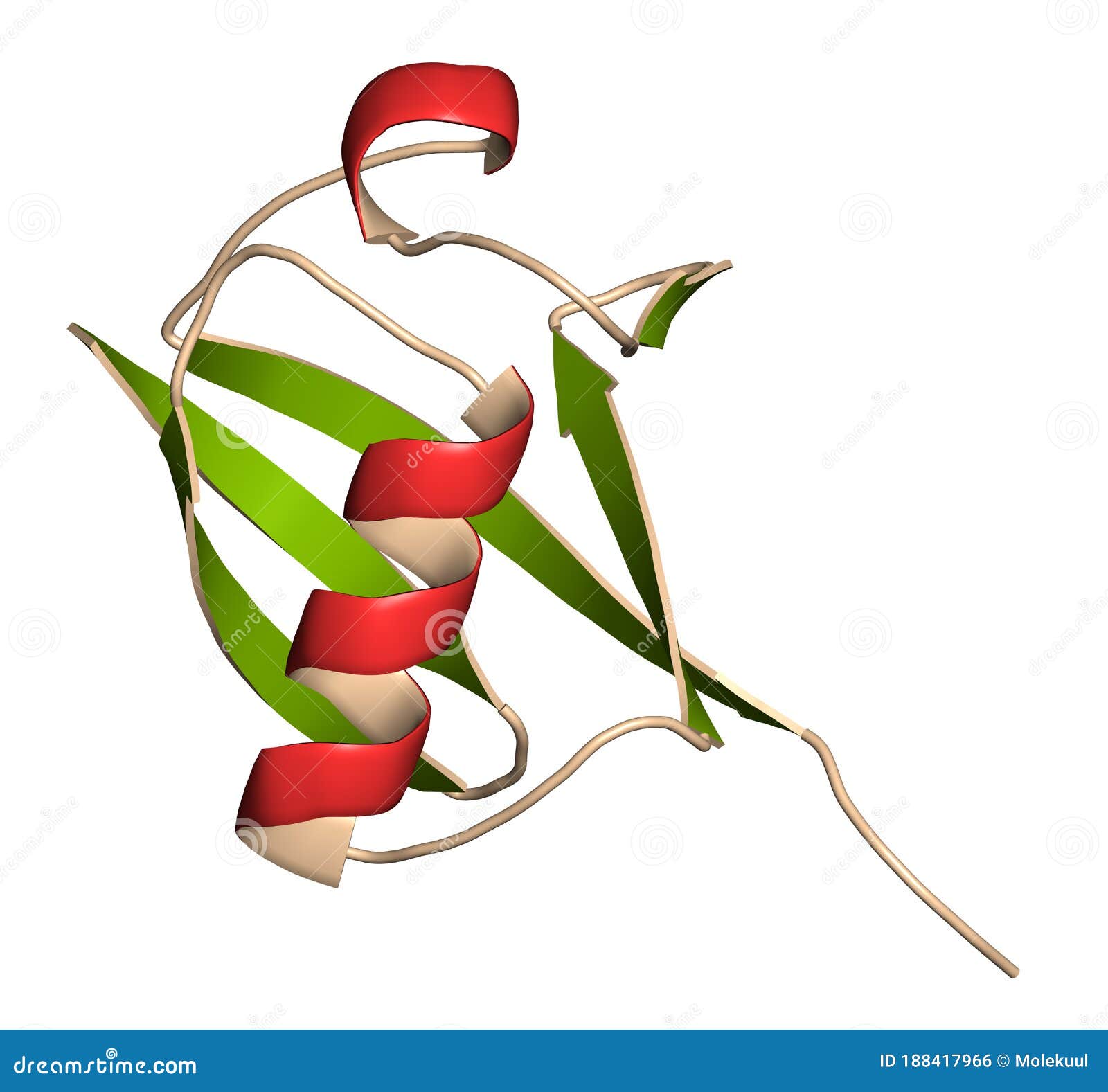 Ubiquitin Protein Molecule, 3D Rendering. Ubiquitin is a Molecular Tag ...