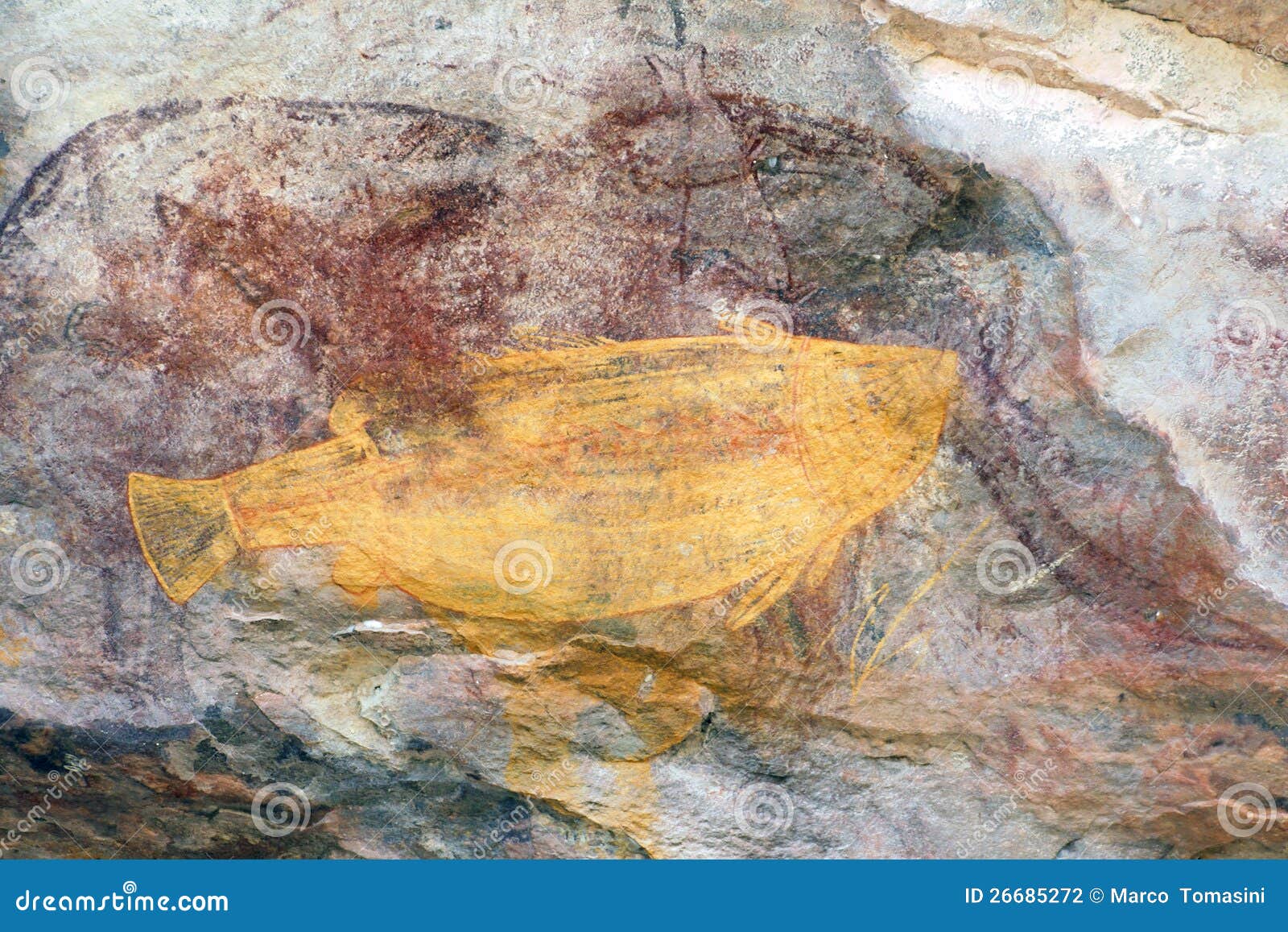 Ubirr Fish rock art stock photo. Image of sacred, colourful - 26685272