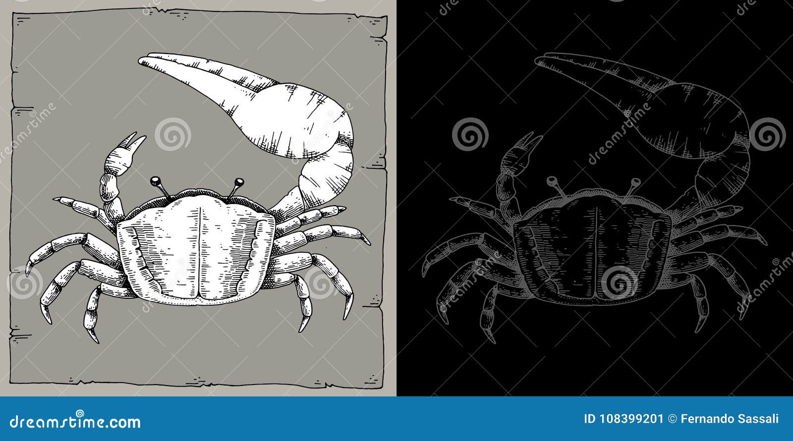 UCA fiddler crab stock vector. Illustration of handmade - 108399201