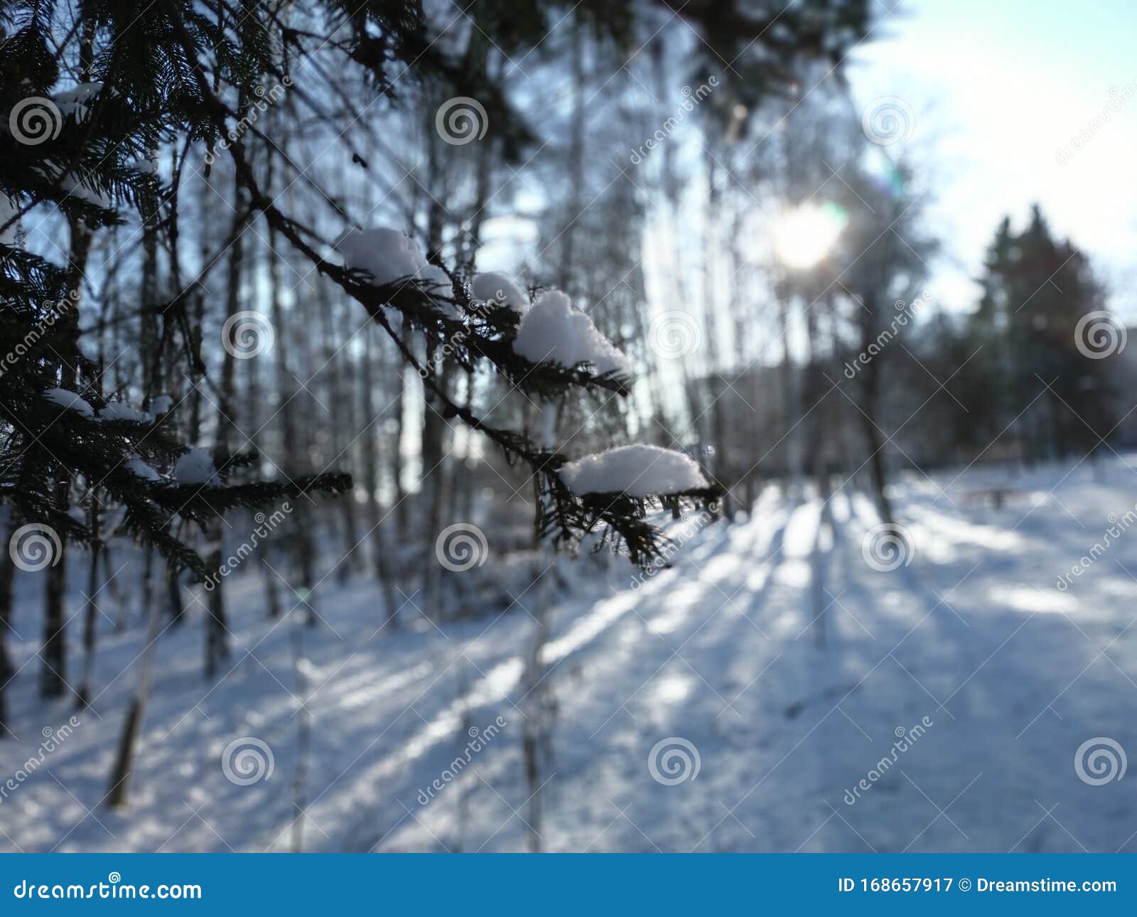 Ucraina Sfondo Invernale Con Neve Bianca Immagine Stock - Immagine di ...
