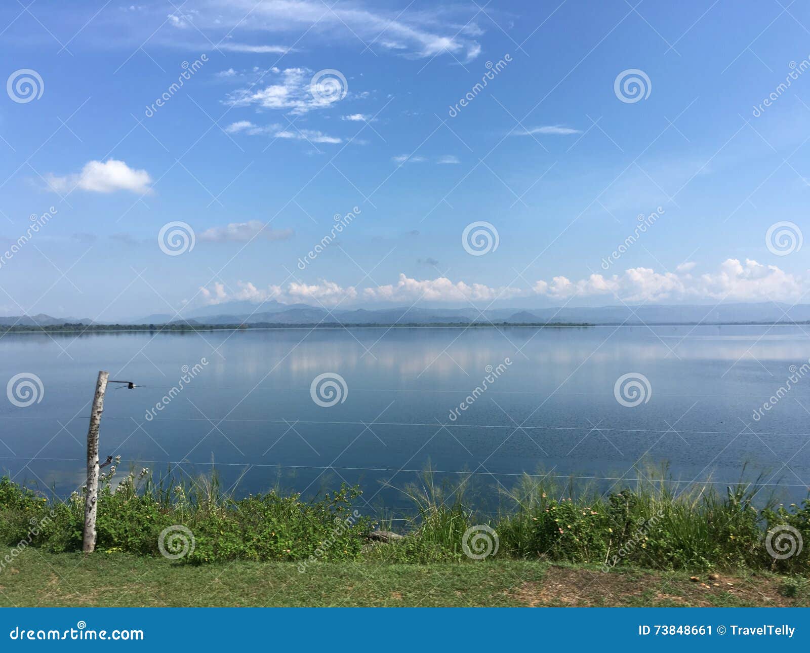 Udawalawe Reservoir stock image. Image of lake, asia - 73848661