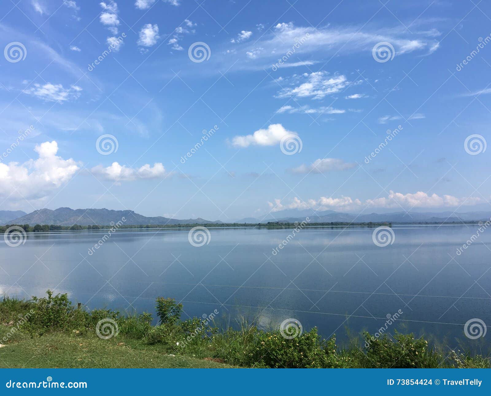 Udawalawe Reservoir stock photo. Image of loch, tree - 73854424