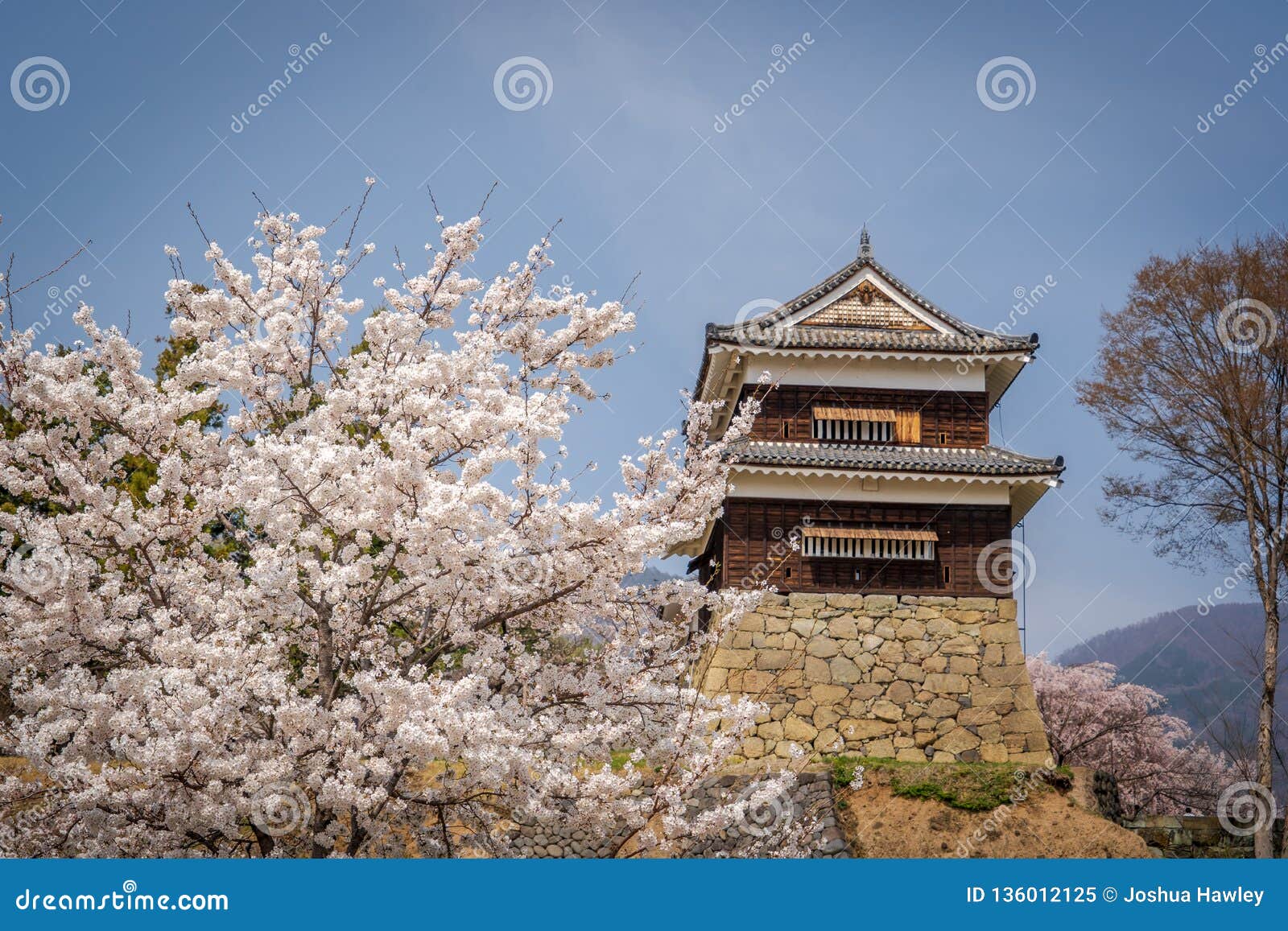 Ueda Castle during spring stock image. Image of historic - 136012125