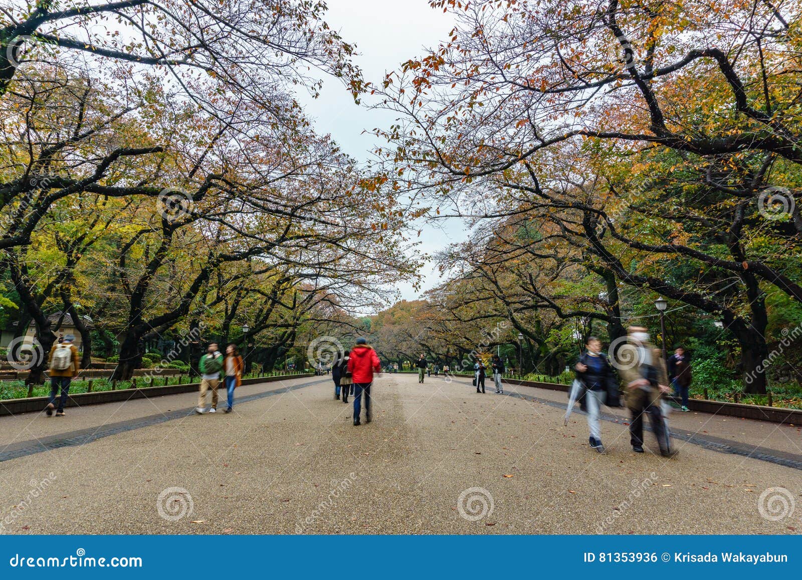 Ueno park in Tokyo , Japan stock photo. Image of pink - 81353936