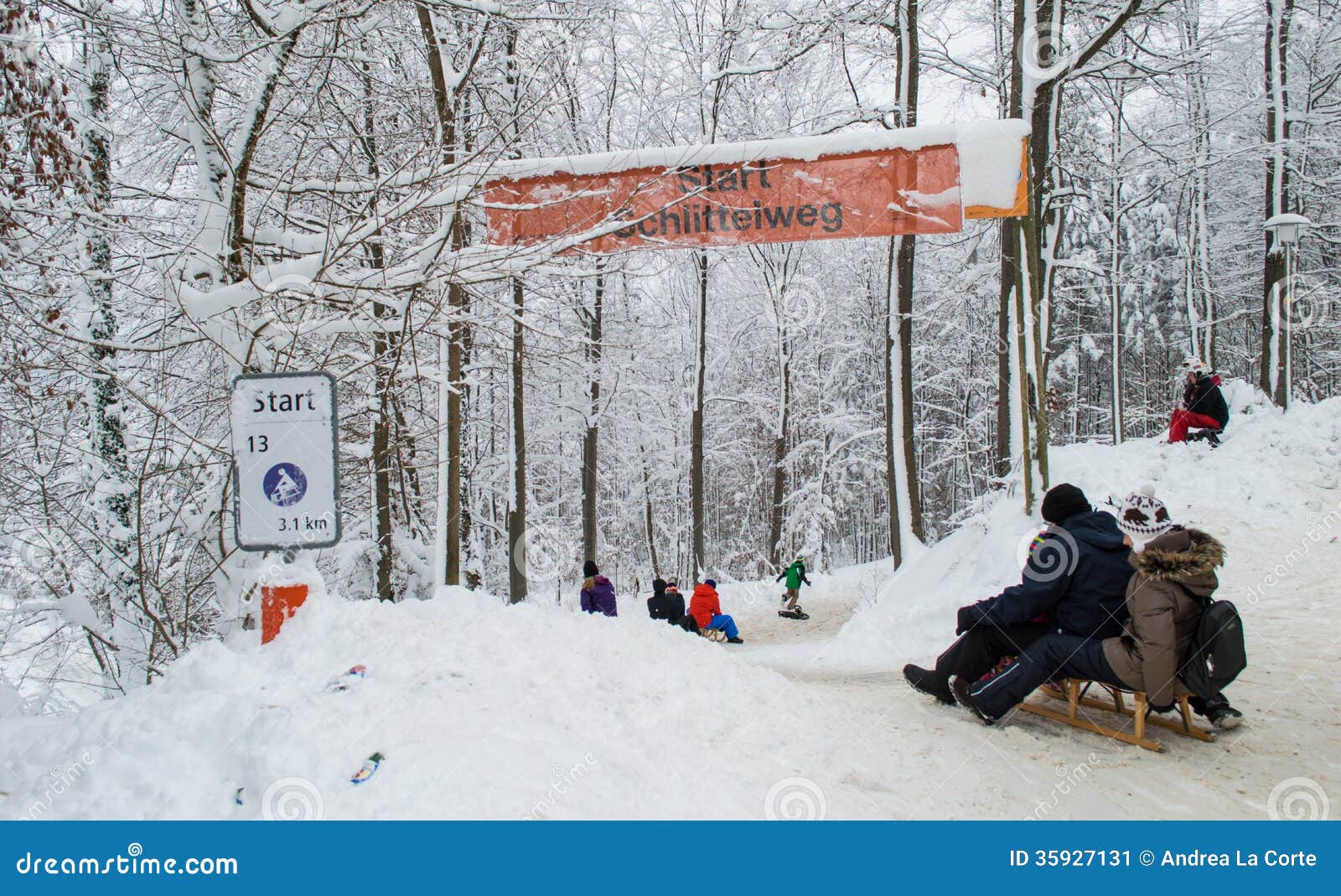 Uetliberg bobsledding editorial photo. Image of trees - 35927131