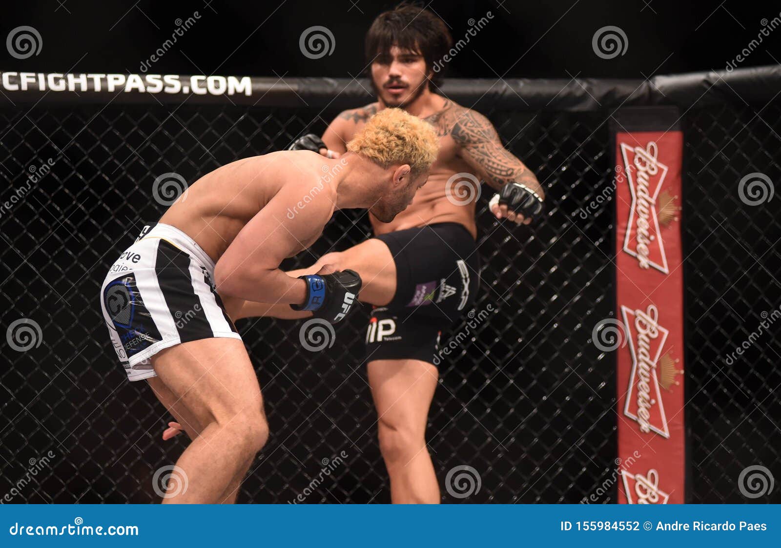 UFC feight editorial photography. Image of feigh, sport - 155984552