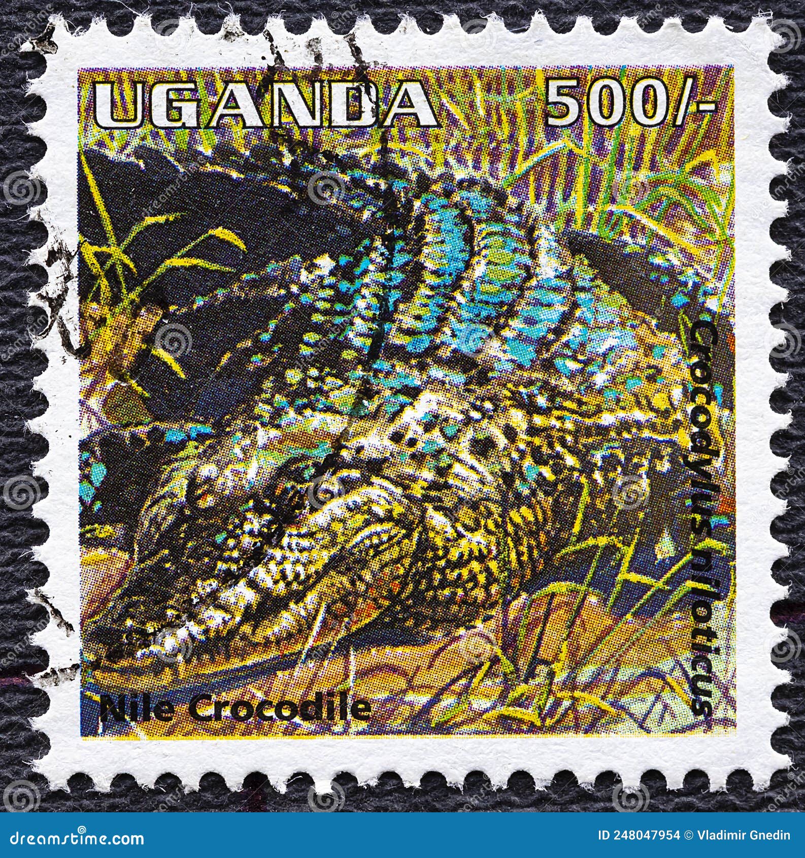 Nile Crocodile Signboard Inside The Crocodile Zoo In Chennai Editorial ...