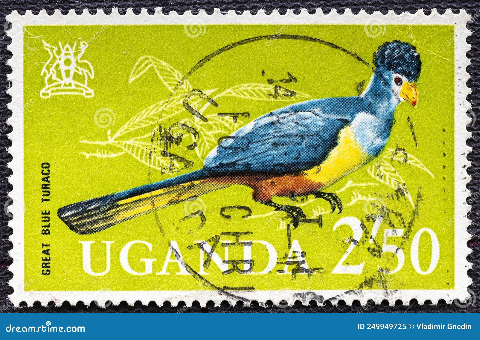 Uganda - Circa 1965 : a Stamp Issued in Uganda Shows Great Blue Turaco ...