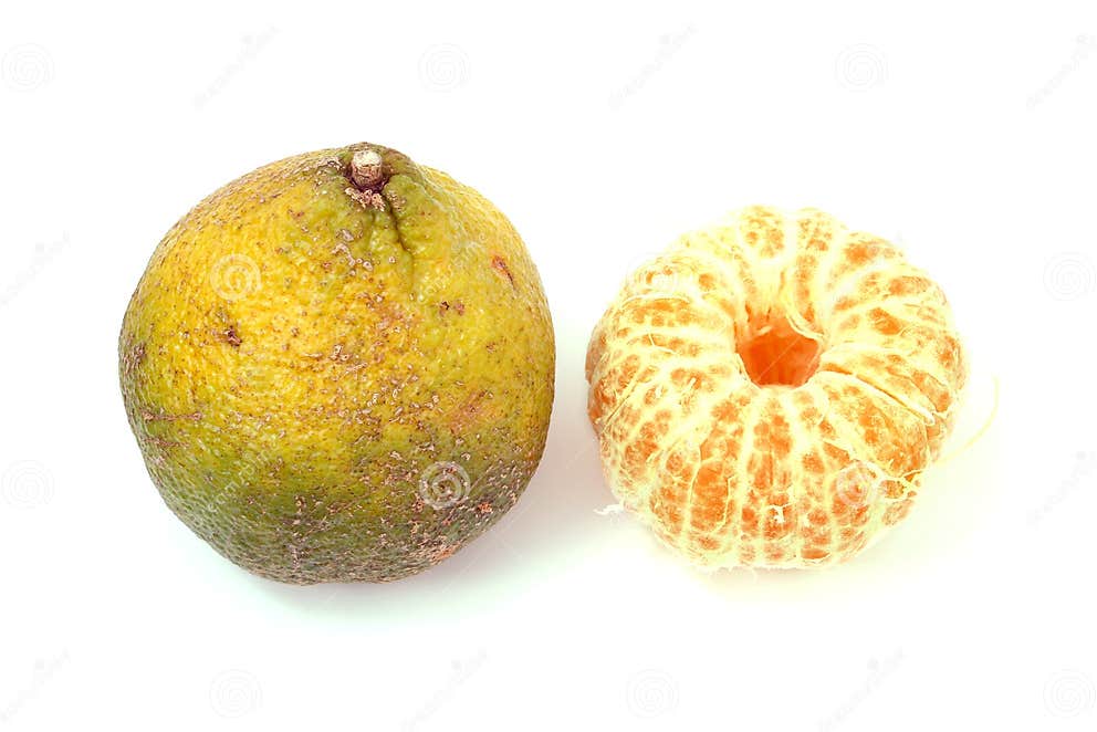 Ugli Fruit Also Called Uniq Fruit Stock Image - Image of grapefruit ...
