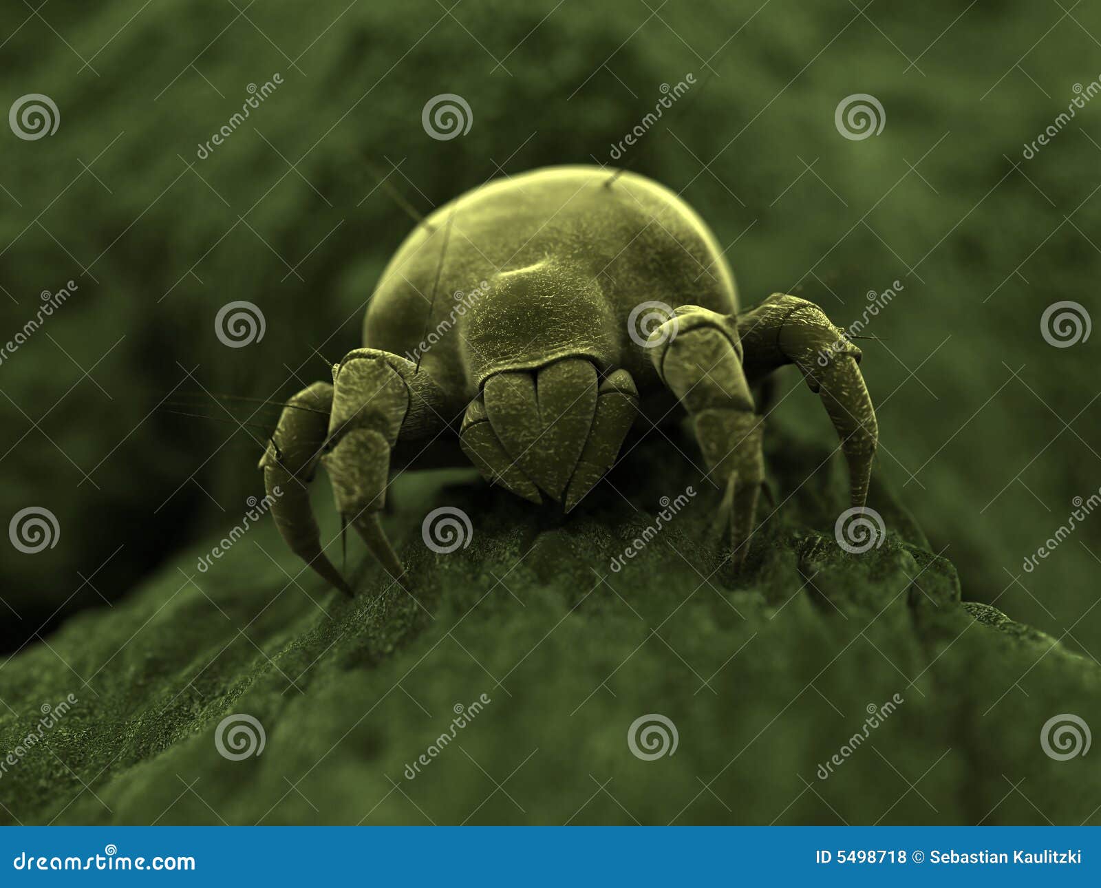 Ugly Mite Stock Photo | CartoonDealer.com #5498718