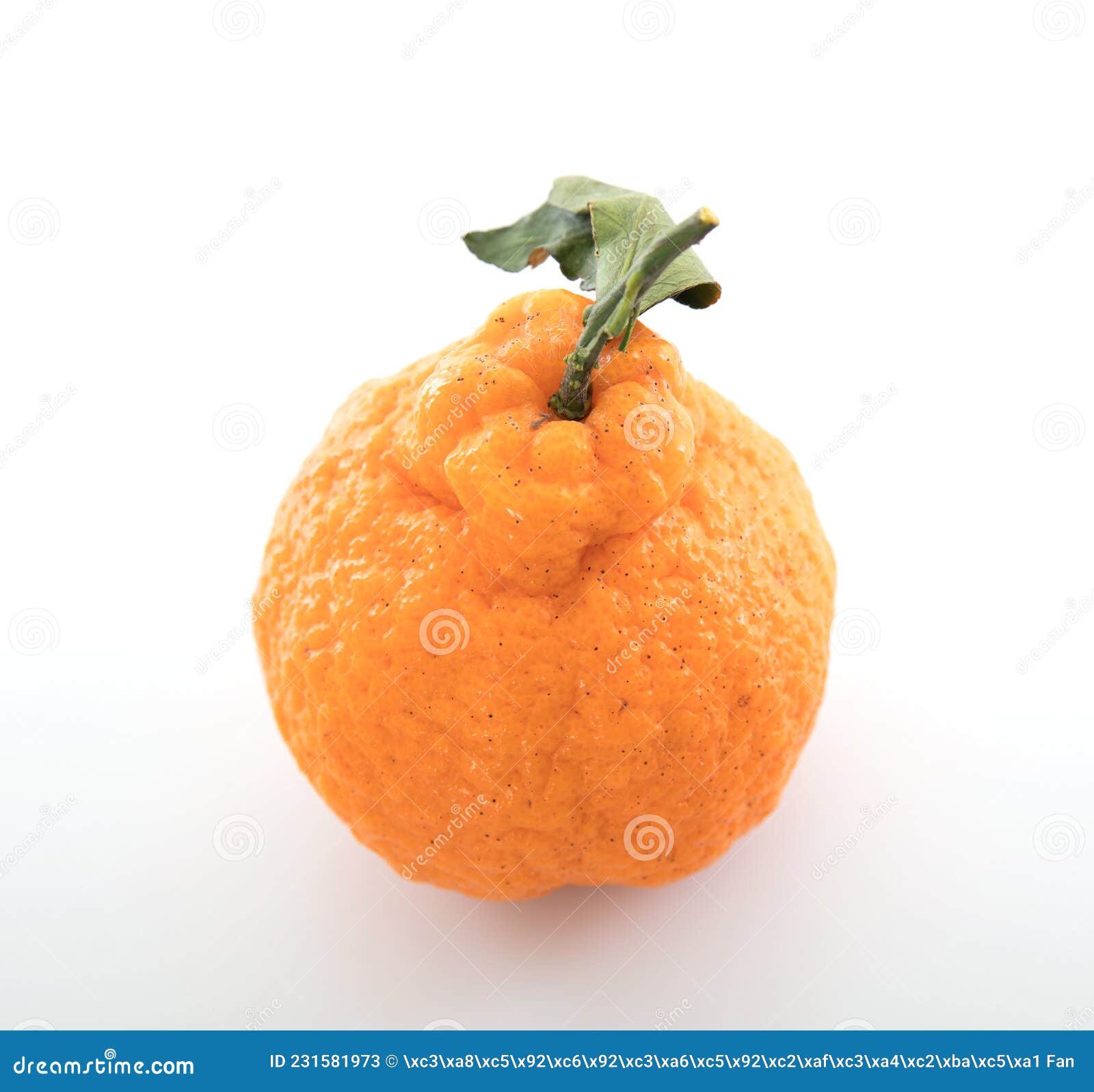 Ugly Orange On A Yellow Background Stock Photography | CartoonDealer ...