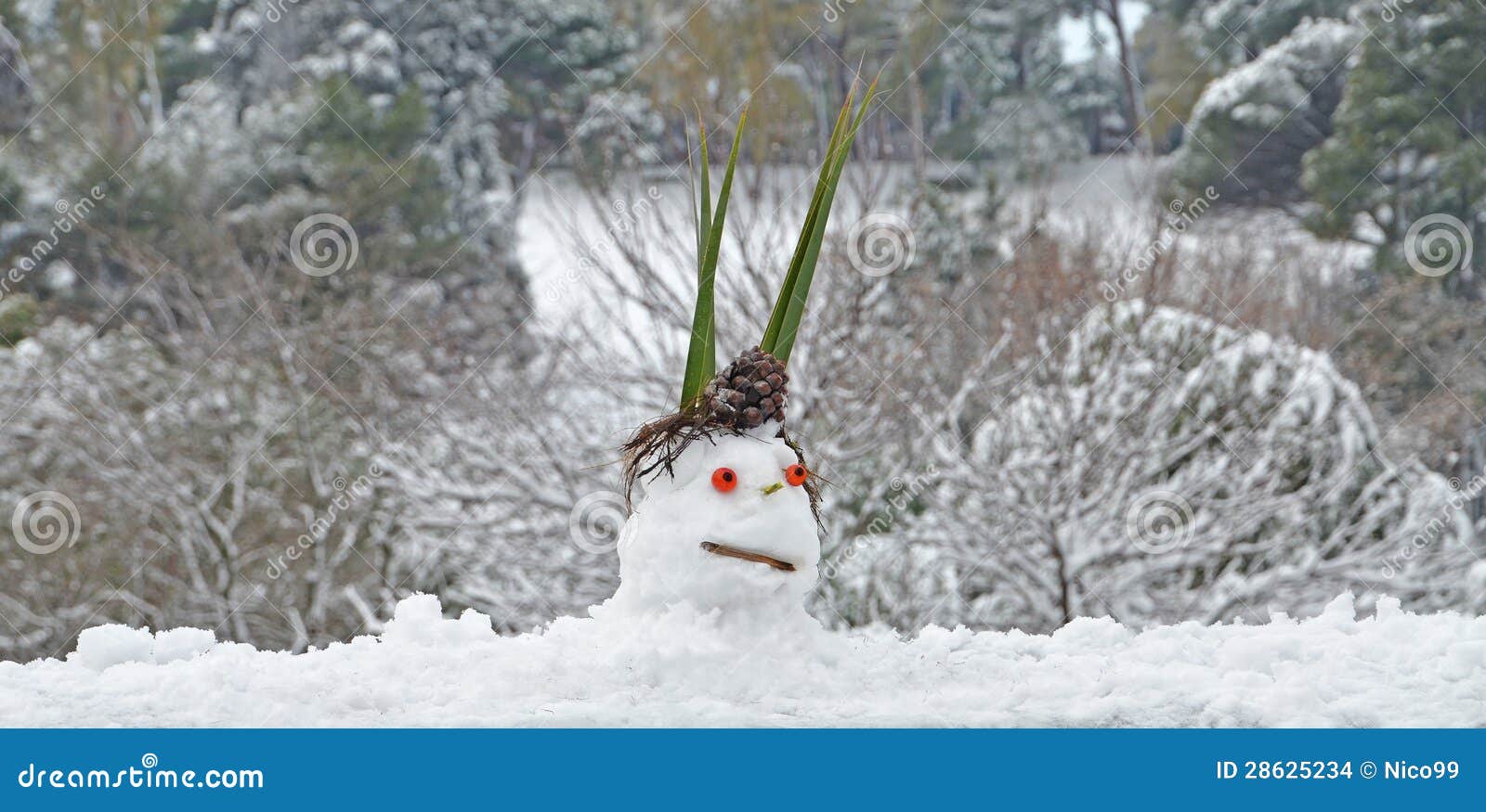 Ugly snow pupped stock photo. Image of copy, stain, snowy - 28625234