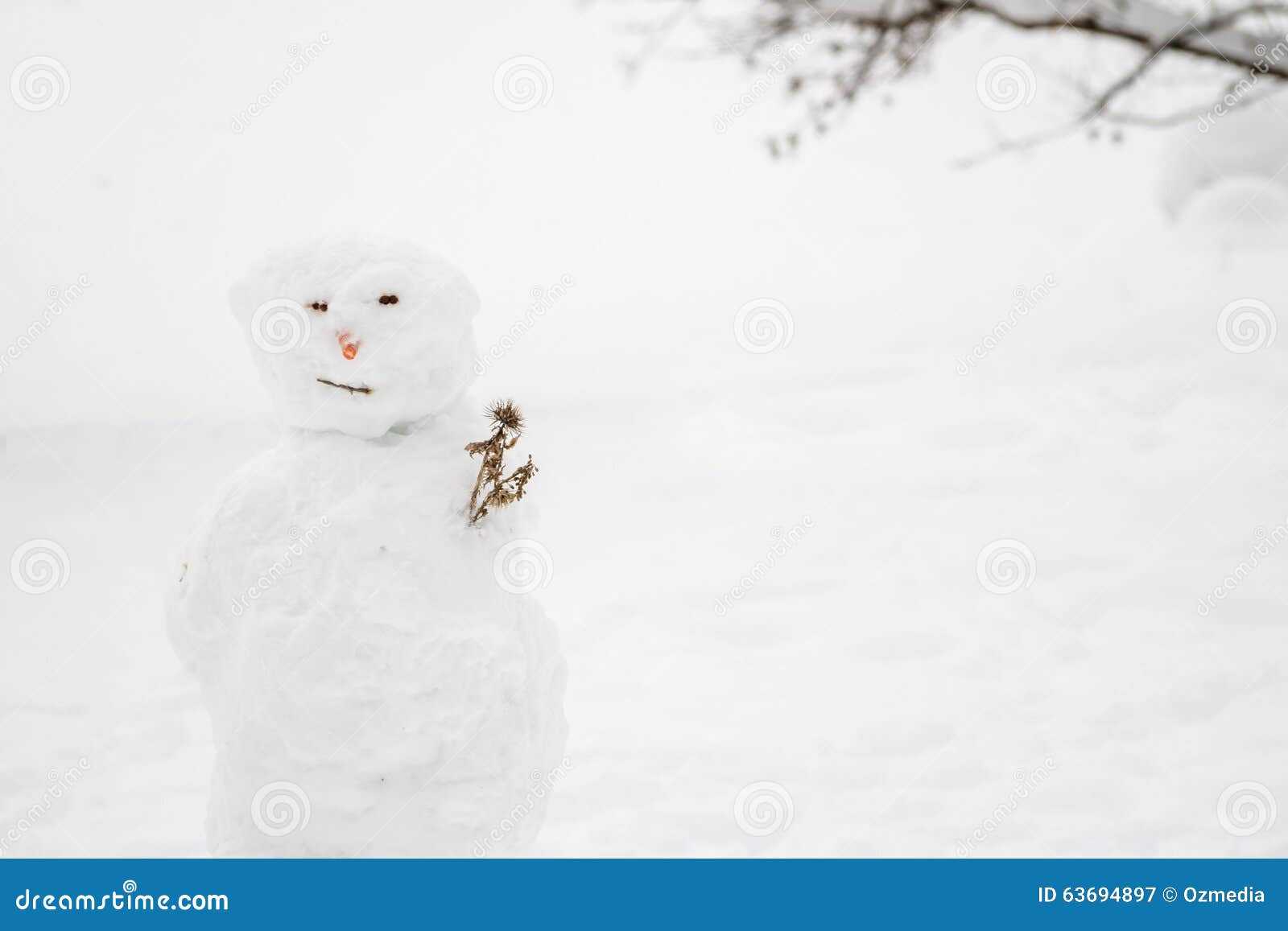 Ugly Snowman From The First Snow With Arms From Branches And Creepy ...