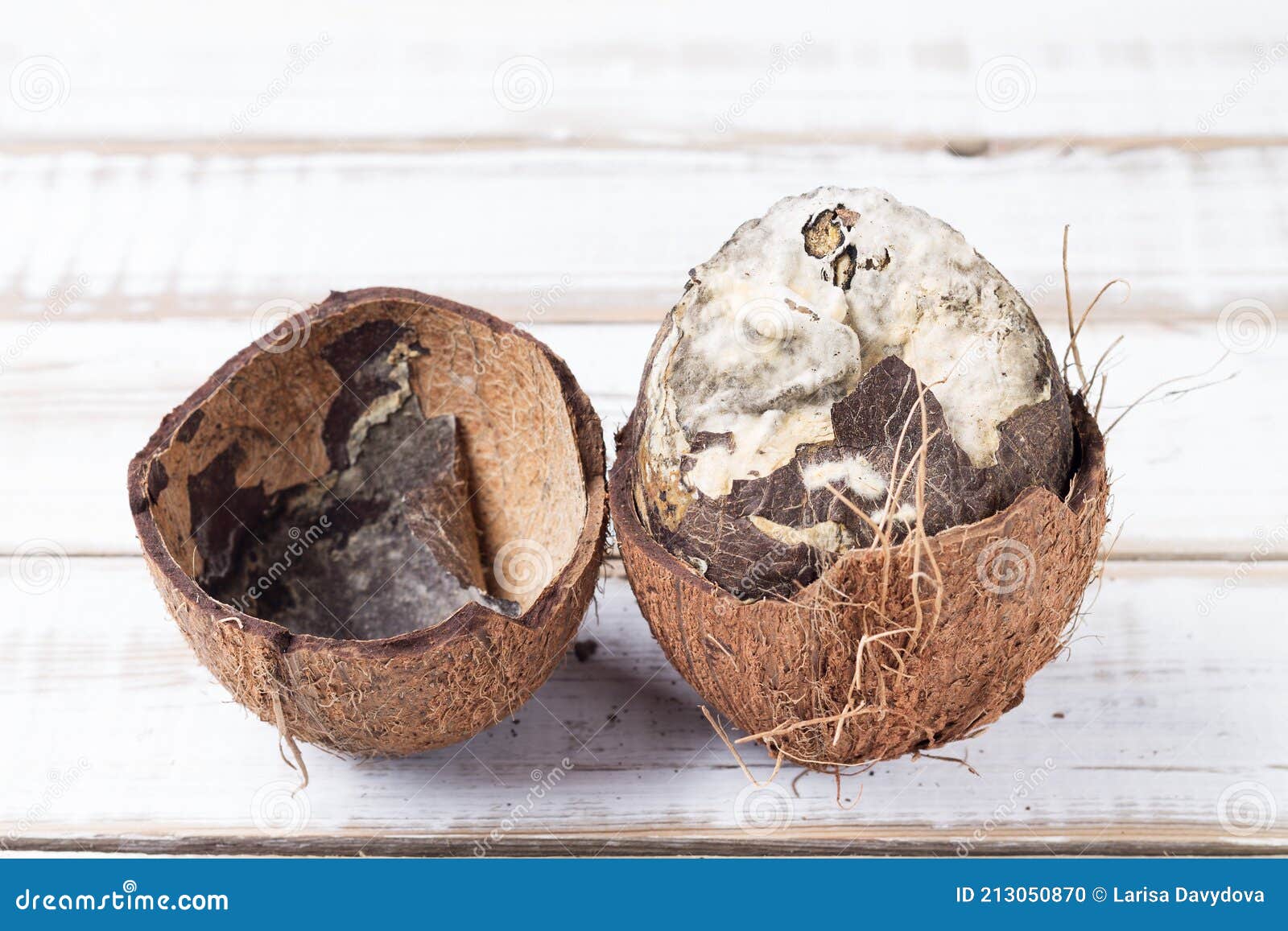 How To Split A Coconut? Stock Image | CartoonDealer.com #73659925