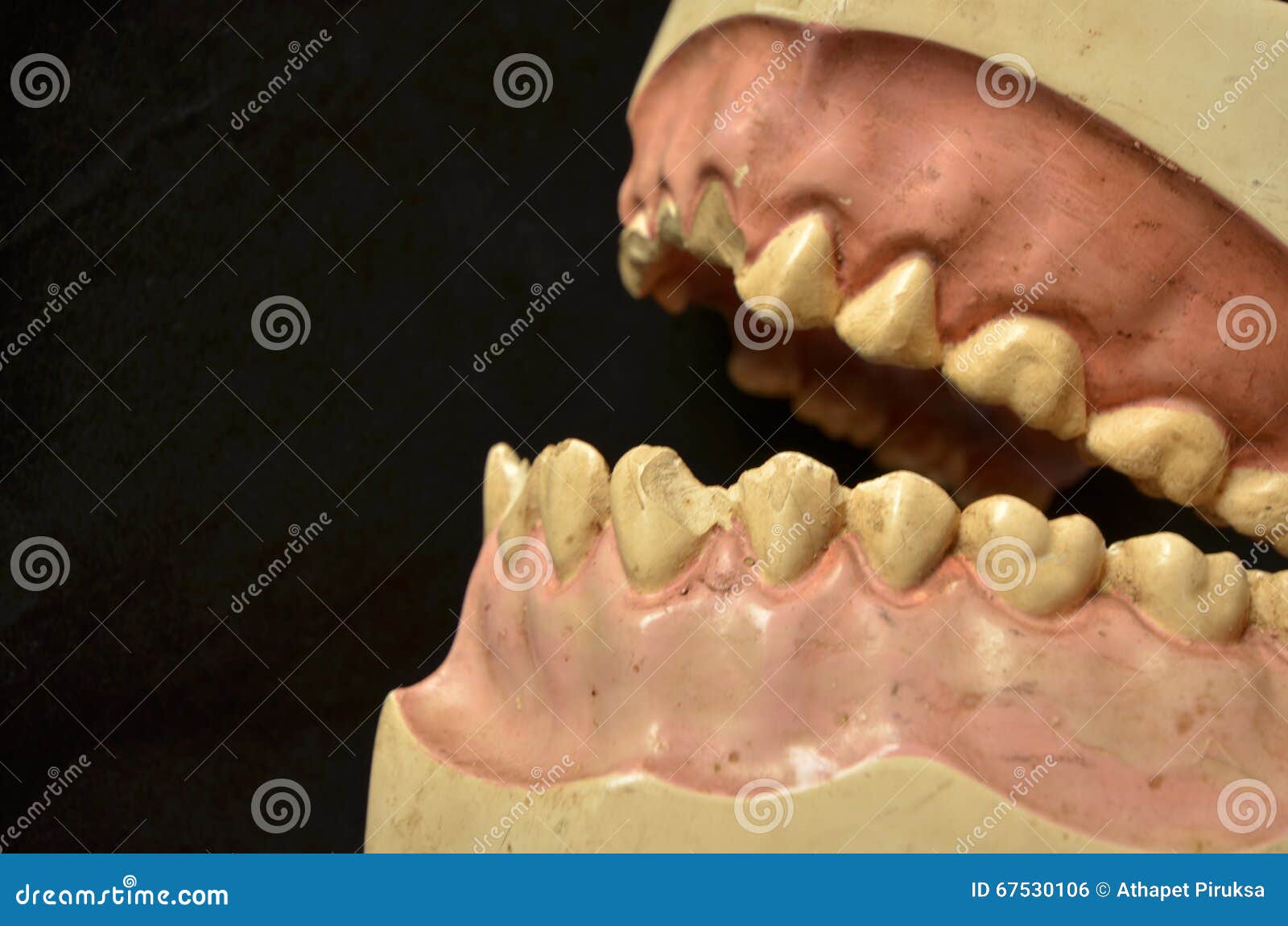 The Ugly Teeth of Plaster Manikin Stock Photo - Image of mouth, closeup ...