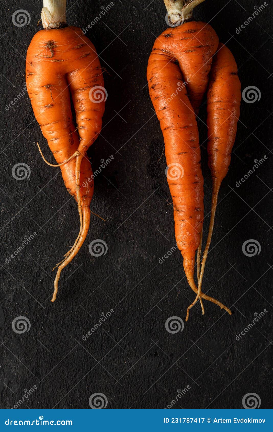 Ugly Vegetable. Unusual, Curved, Double Carrot And Grater With Grated ...