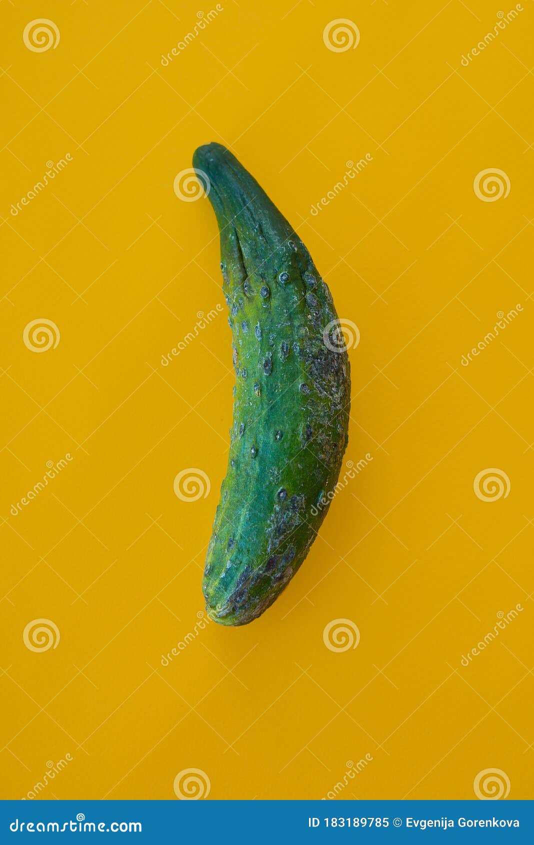 Ugly Vegetables, Deformed Cucumber on a Trending Orange Background ...