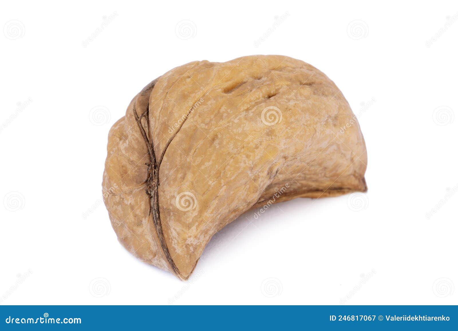 Ugly Walnut is Isolated on White Background. Different Angles Stock ...