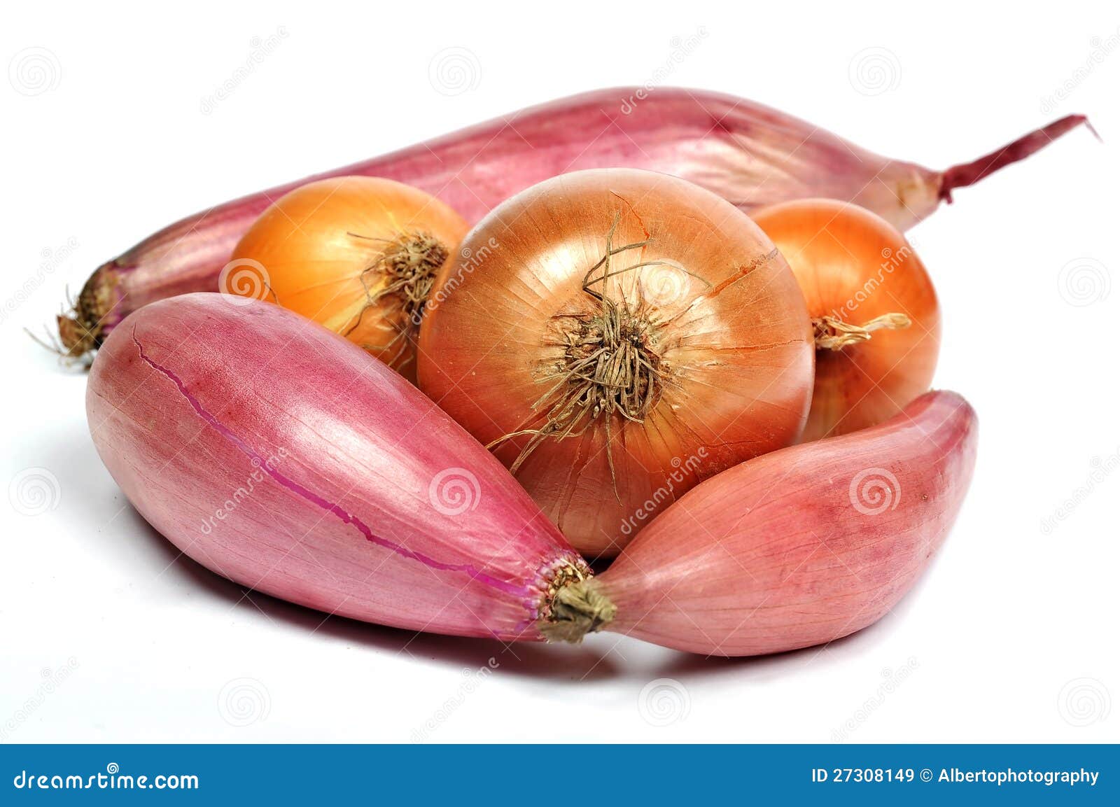 Uien stock afbeelding. Image of tuinieren, oogst, landbouwers - 27308149