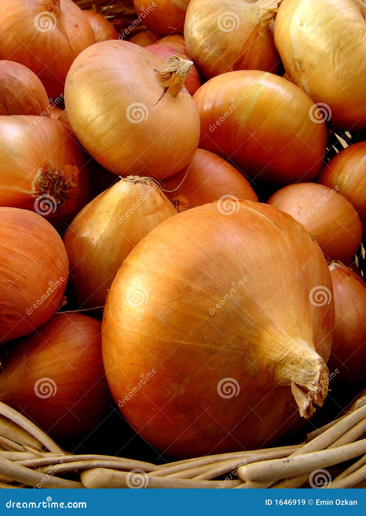 Uien in de mand stock afbeelding. Image of rood, groenten - 1646919