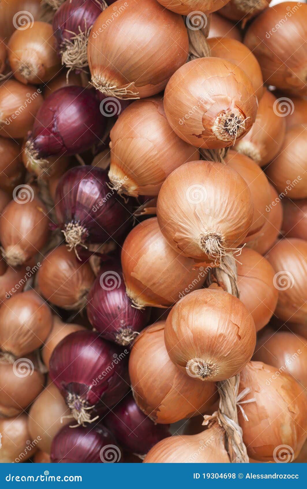 Uien Van Verschillende Types Stock Foto - Image of type, traditie: 19304698