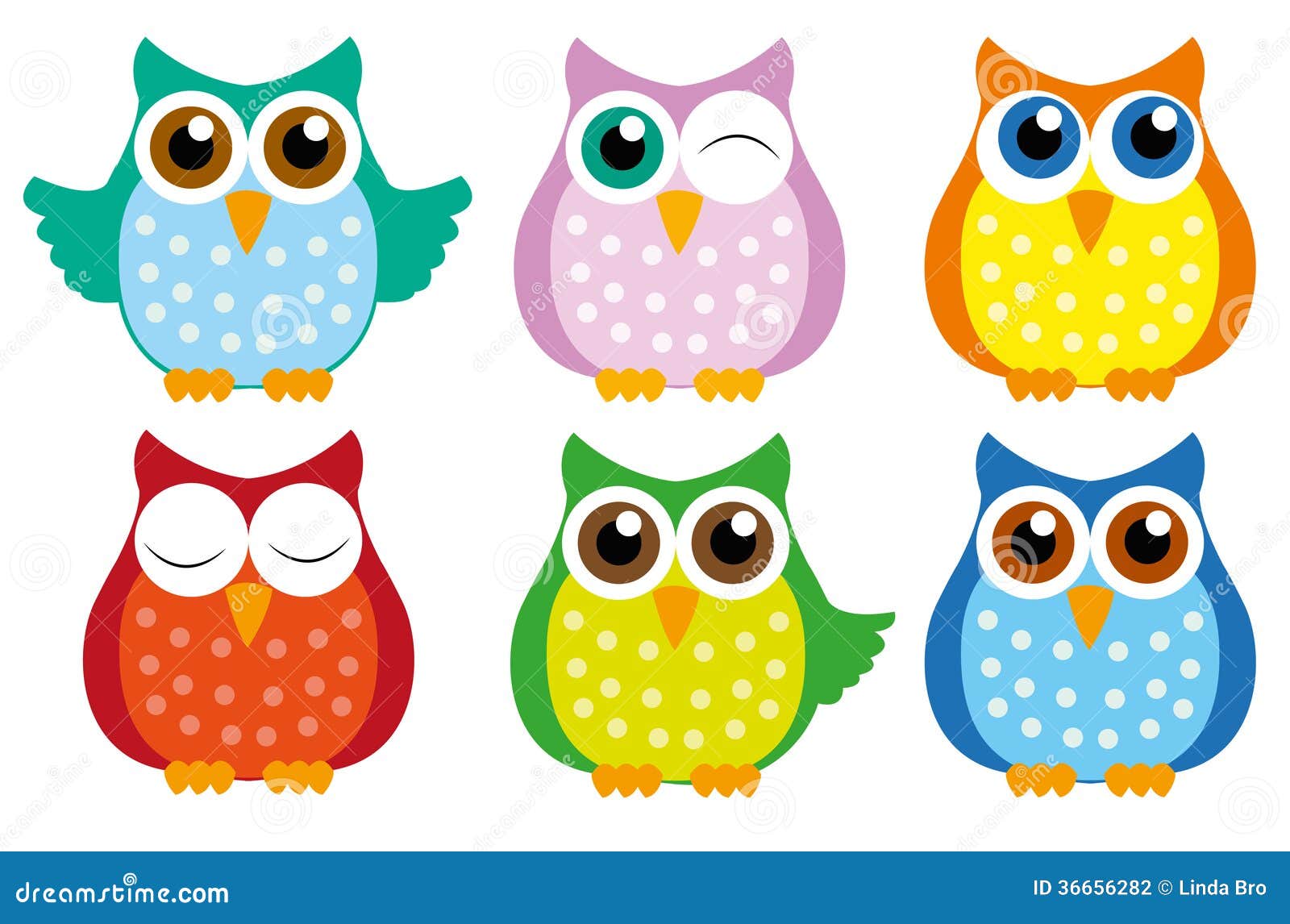 Uil vector illustratie. Illustration of roofvogel, wild - 36656282