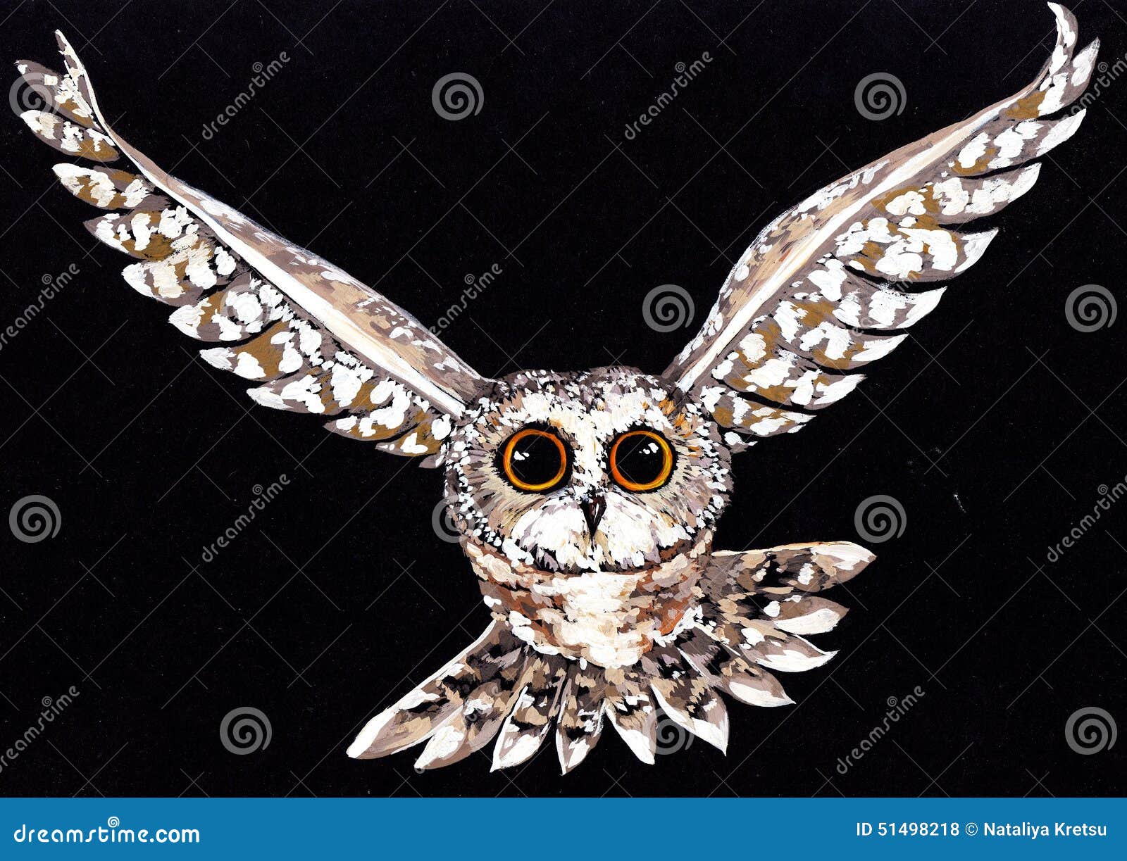 Uil stock foto. Image of vliegen, vleugels, jager, zwart - 51498218