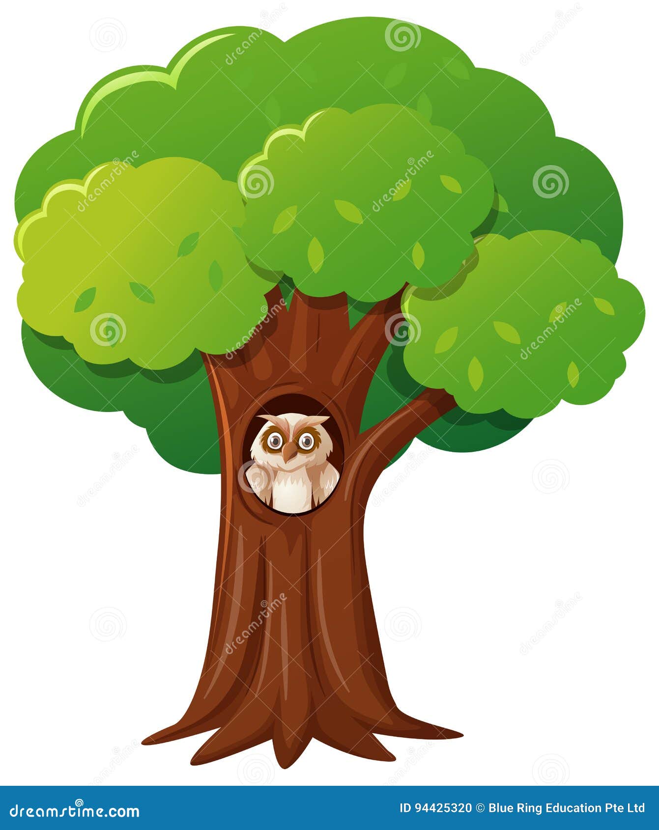 Uil in de holle boom vector illustratie. Illustration of nave - 94425320