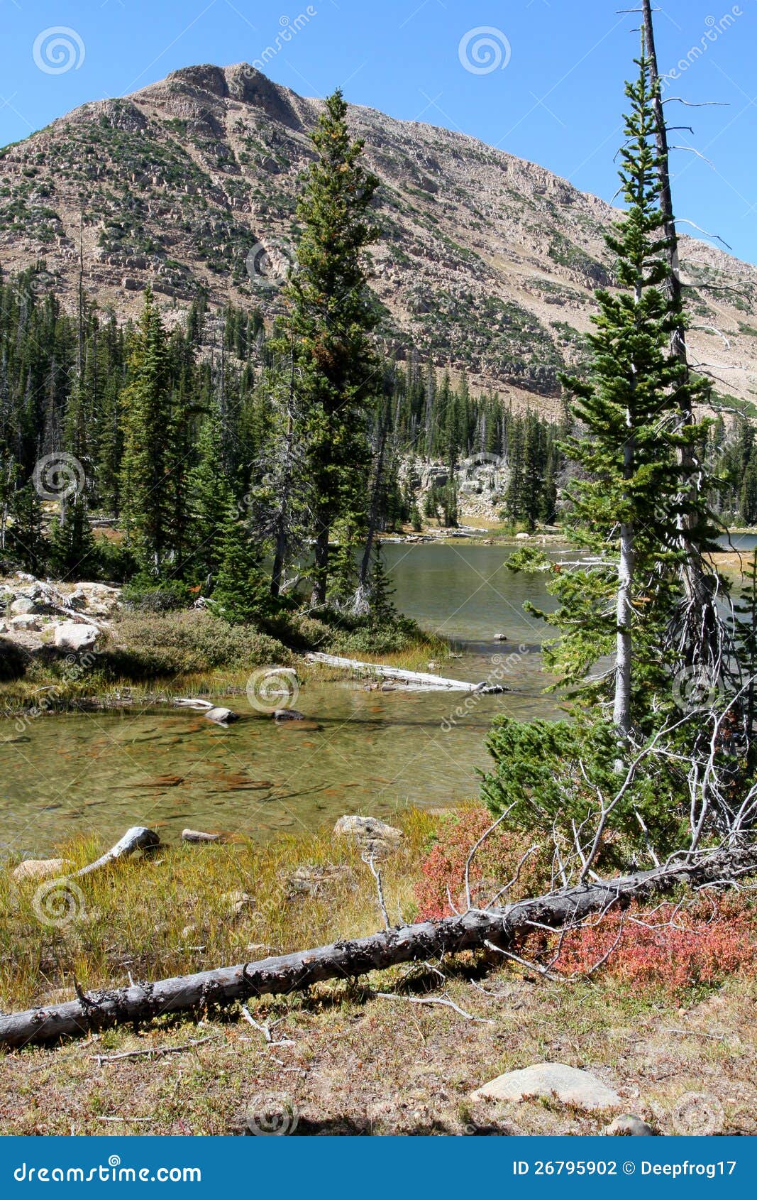 Uinta mountains stock photo. Image of mountainside, america - 26795902