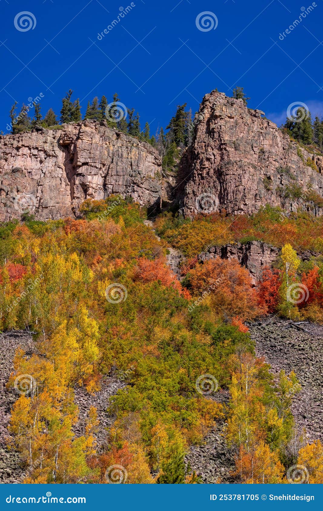 Uinta Wasatch Cache National Forest, Utah Stock Image - Image of ...